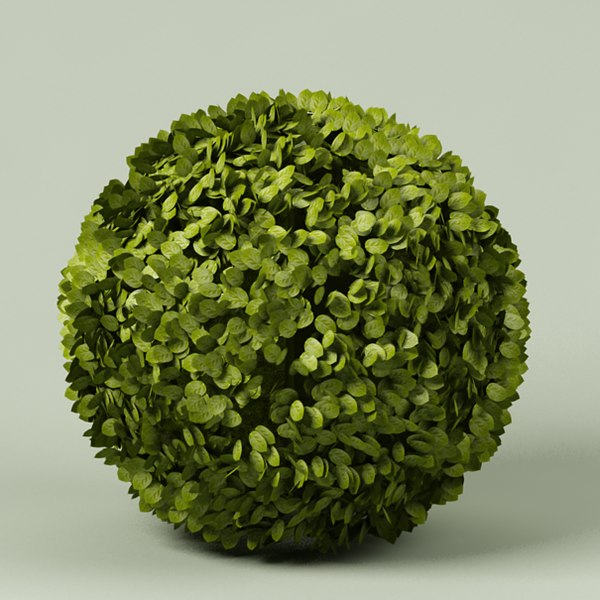 bush 3d model