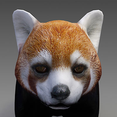 3d model red panda
