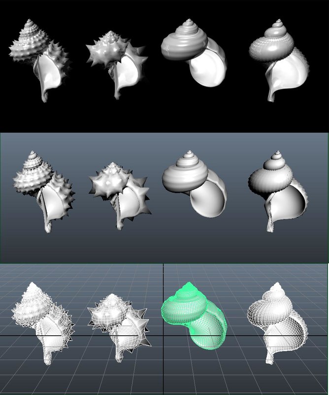 shells 3d ma