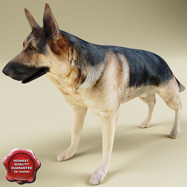 german shepherd 3d model