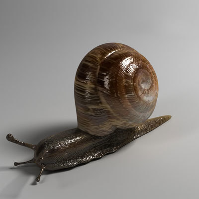 modèle 3D de Escargot - TurboSquid 350911