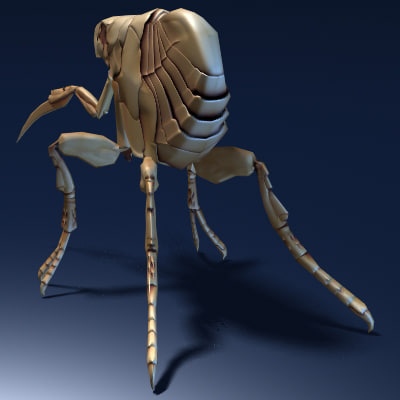 insect modeled monster 3d model