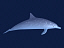 dolphin rigged caustics 3d max