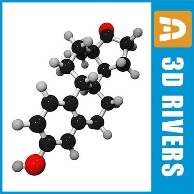 estrone molecule structure 3d model