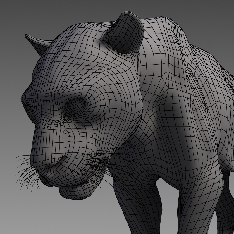 3d wild cats feline model