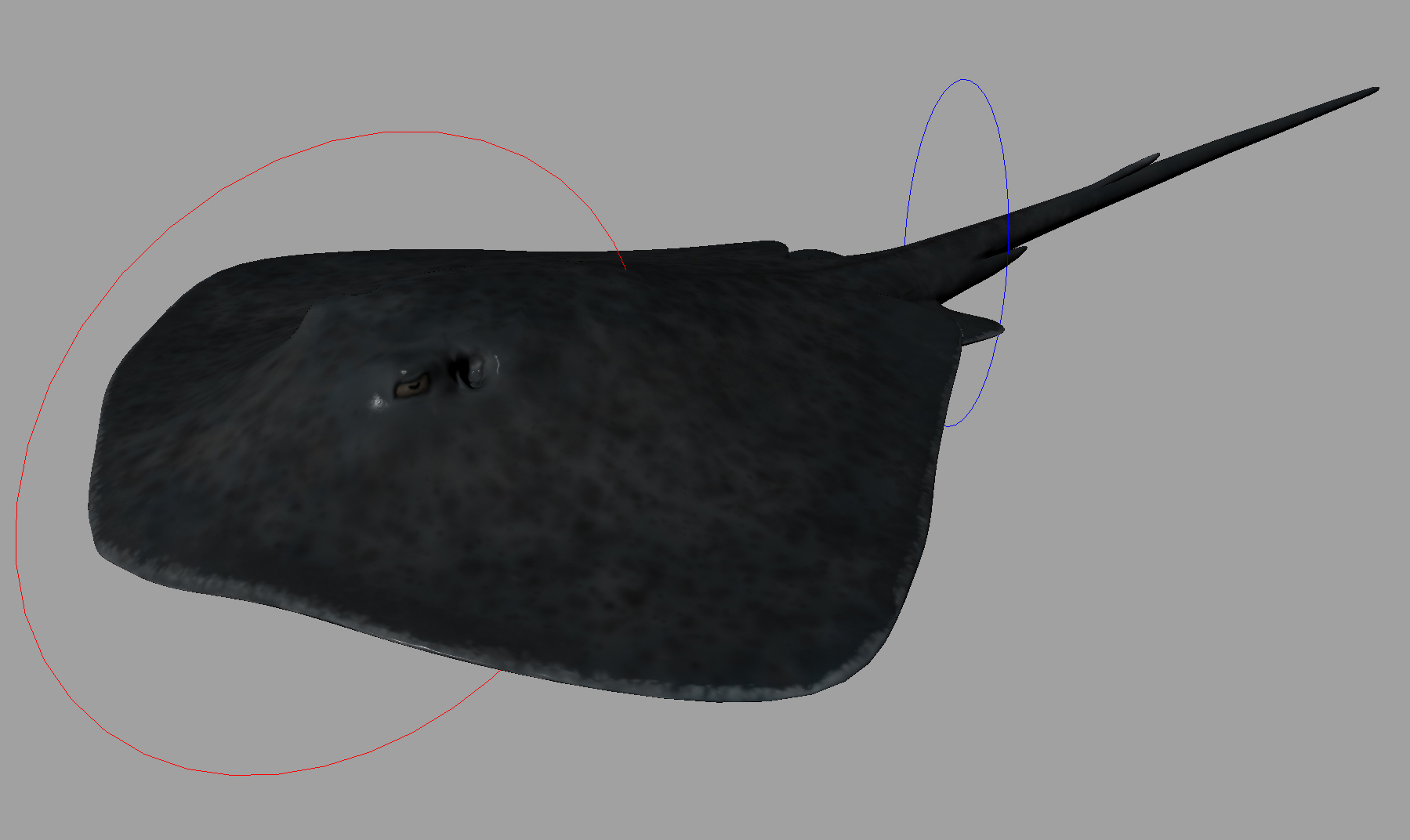 3d model custom rigged stingray