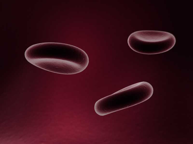 3d blood cells