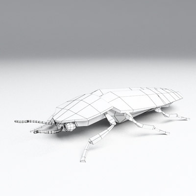 firefly bugs beetles 3d model