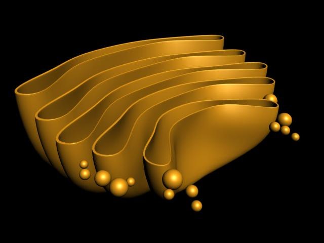 3d model golgi apparatus