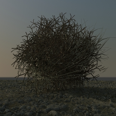 max western tumble weed