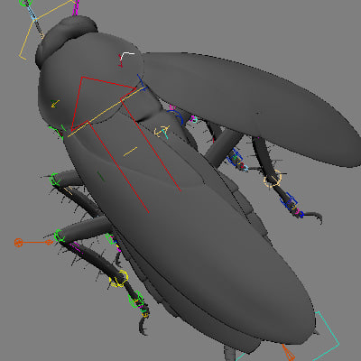 photorealistic american cockroach 3d model