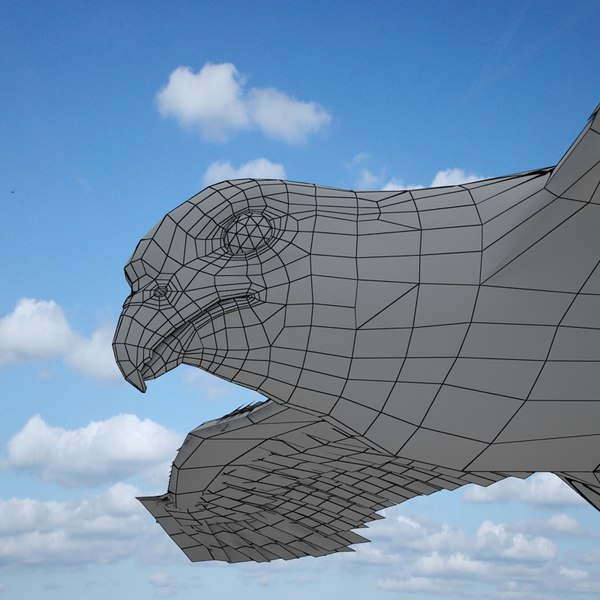 buzzard birds 3d model