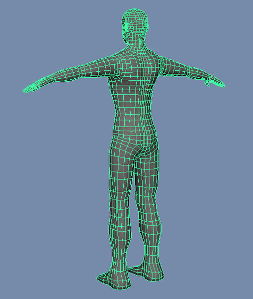 3d basic human male body