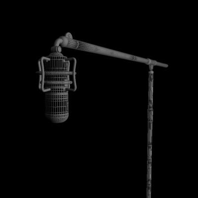 max boom microphone