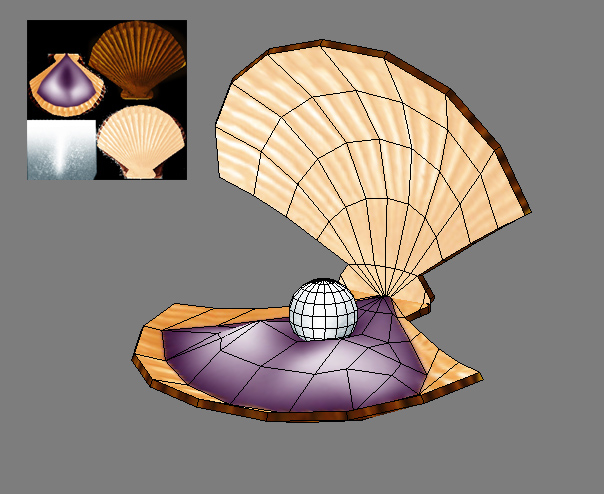 3d model seashell