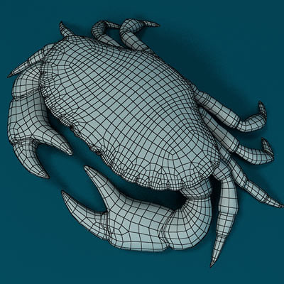 3d crab sea model