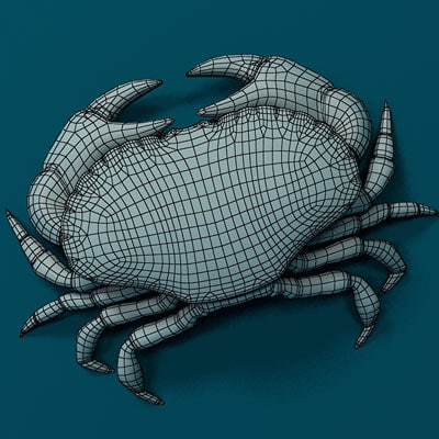 3d crab sea model