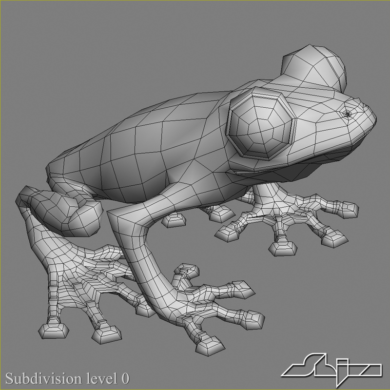 3d model frog amphibian