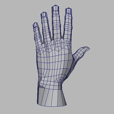human hand 3d model