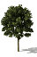 tree 3ds free