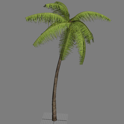 palm tree animation max free