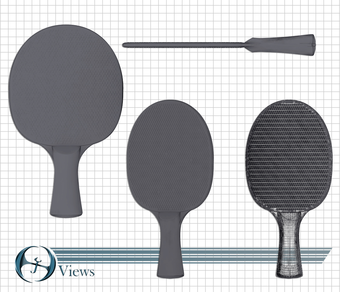 3d 3ds table tennis paddles ping pong