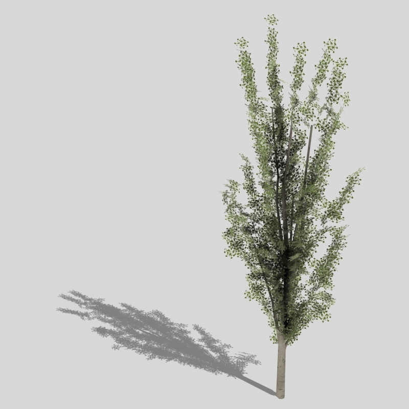 3ds max 20 trees shrubs