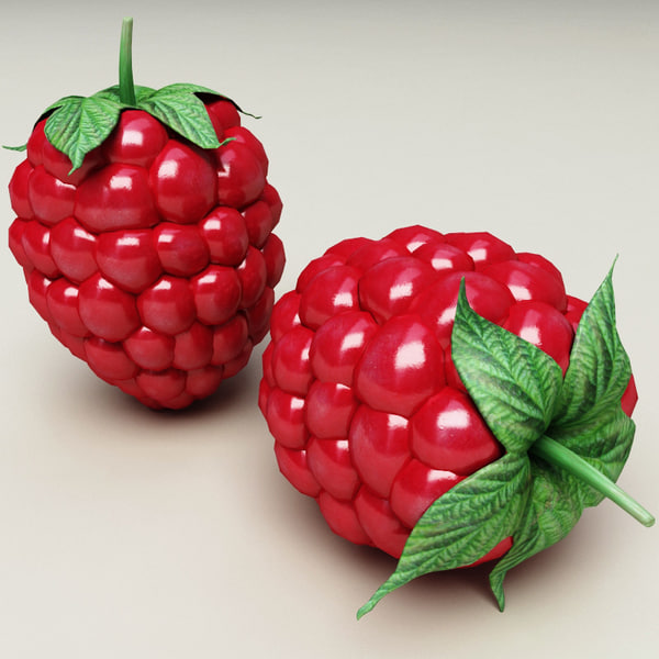 3d raspberry modelled model