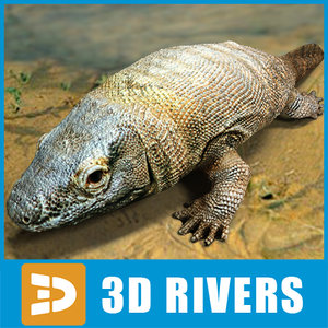 Ichthyostega 3D Models for Download | TurboSquid
