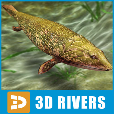 maya panderichthys prehistoric fish