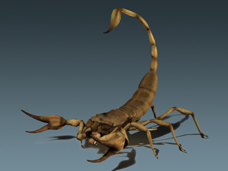 3d model scorpion