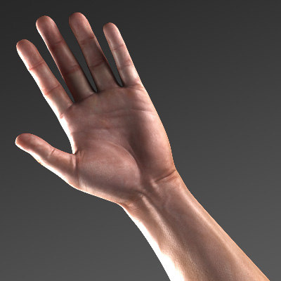 obj realistic male hand max8