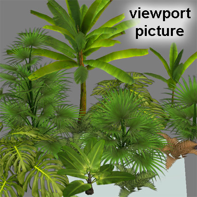 3d model tropical plants
