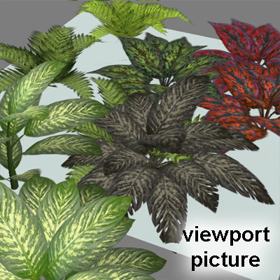 3d model tropical plants