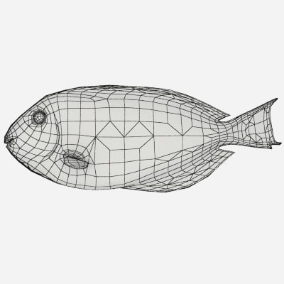 maya set coral reef fish