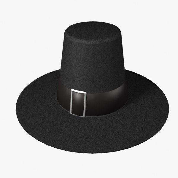 3ds puritan hat