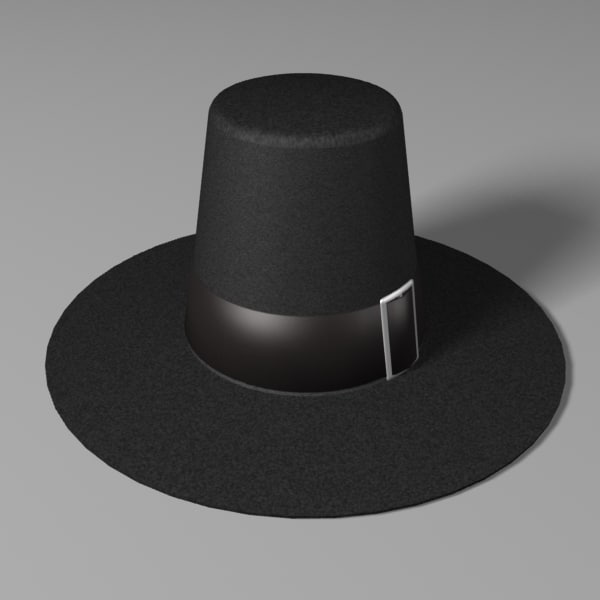 3ds puritan hat