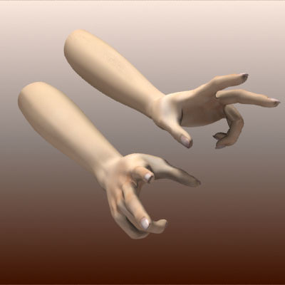 rigged female hands 3d model
