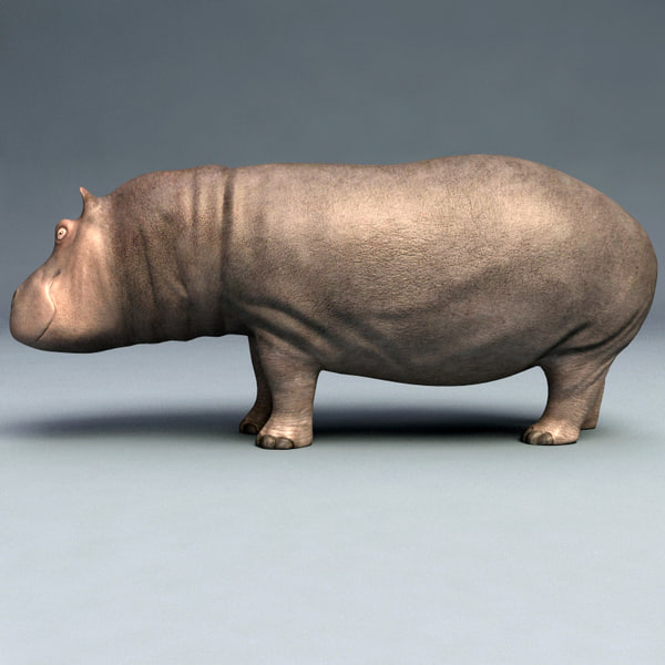 3d model hippo modelled