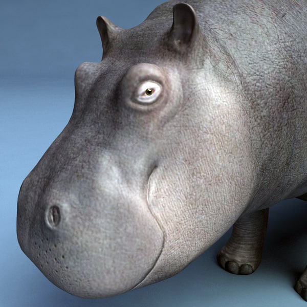 3d model hippo modelled