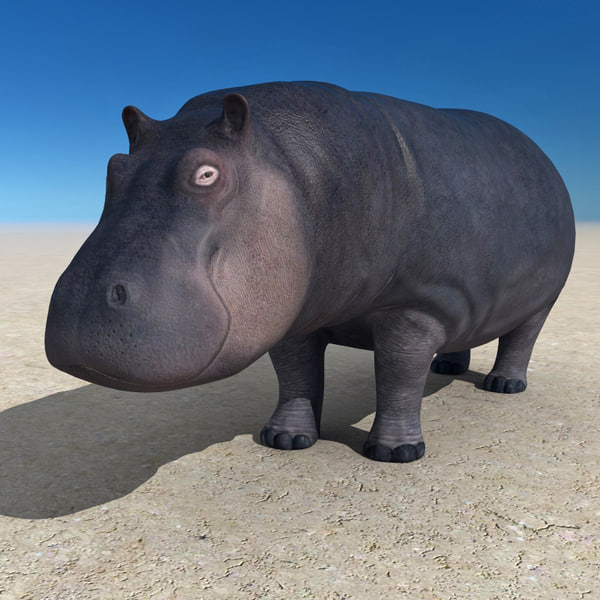 3d model hippo modelled
