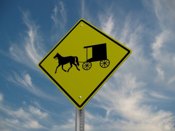 x buggy crossing street sign