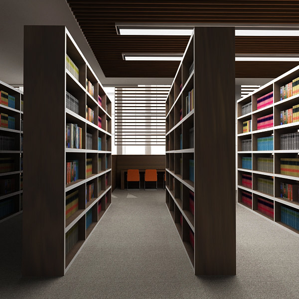 library version 3d model