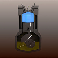 3d murex shell model