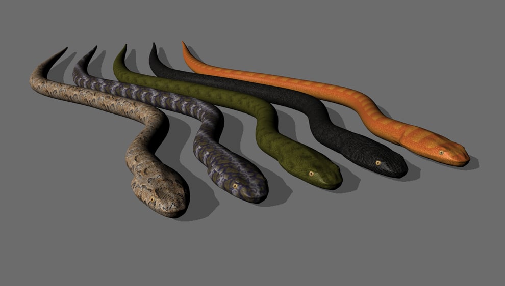 snake 3d c4d