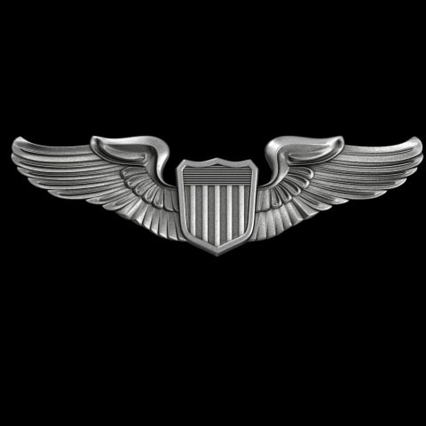 3d model air force pilot badge