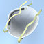 respirator mask protect max