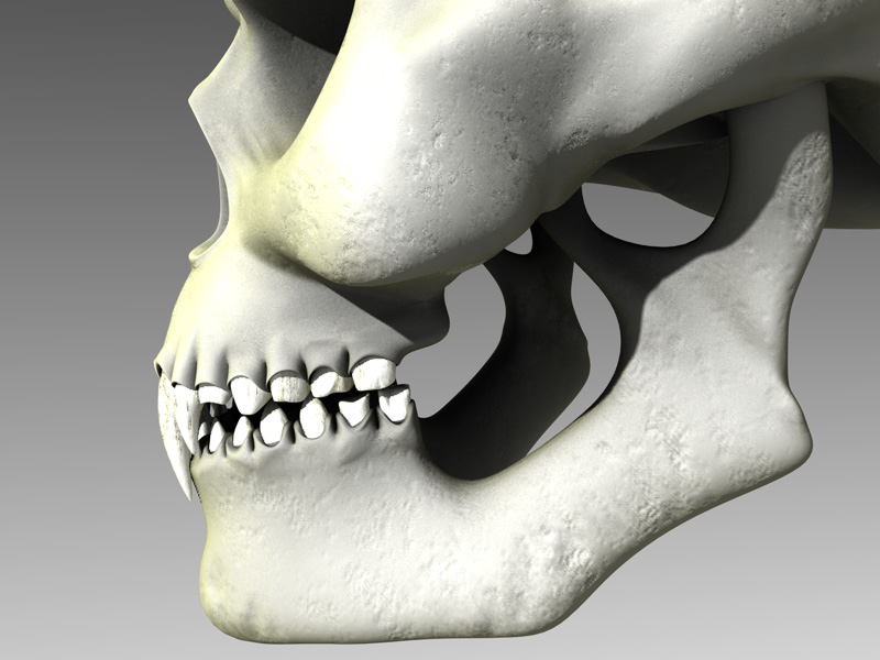 3ds vampire skull