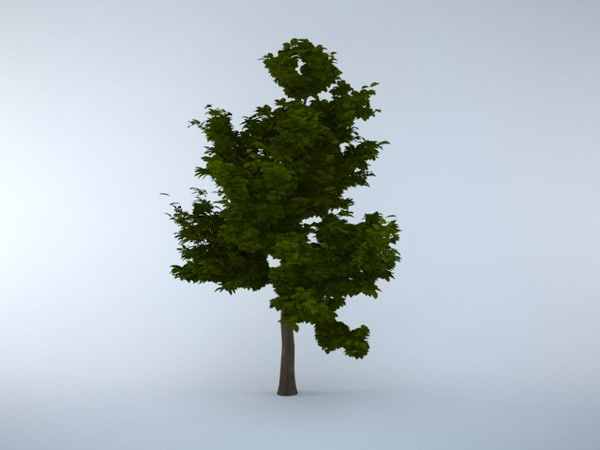 Free Tree 3D Models for Download | TurboSquid
