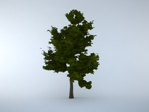 Free Tree 3ds Max Models for Download | TurboSquid